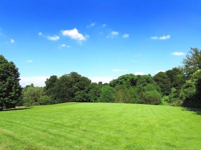 Pasture Mowing - Macks Pasture Mowing